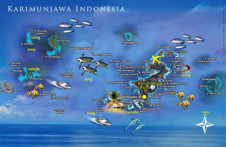 Karimun Java Tourism - Visit Indonesia Raya