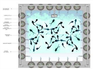 SUKSES BISNIS PERIKANAN: DEMPLOT YUMINA BUMINA, UNGGULAN BKP5K ...