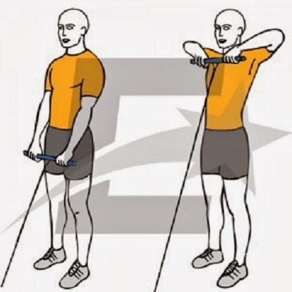 5 ejercicios para trapecio con barra y polea | Secretos de dietas y ...