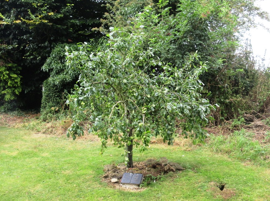 Liberal England: Teigh in Rutland is a Thankful Village