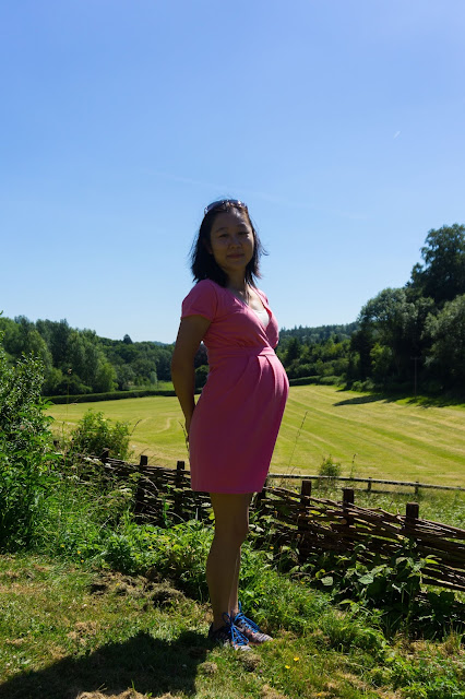 Queen of Darts: A maternity & nursing dress - Simplicity 1469/Megan ...