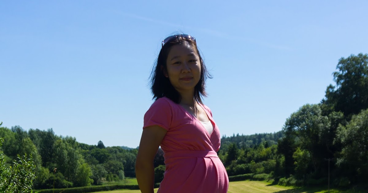 Queen of Darts: A maternity & nursing dress - Simplicity 1469/Megan ...