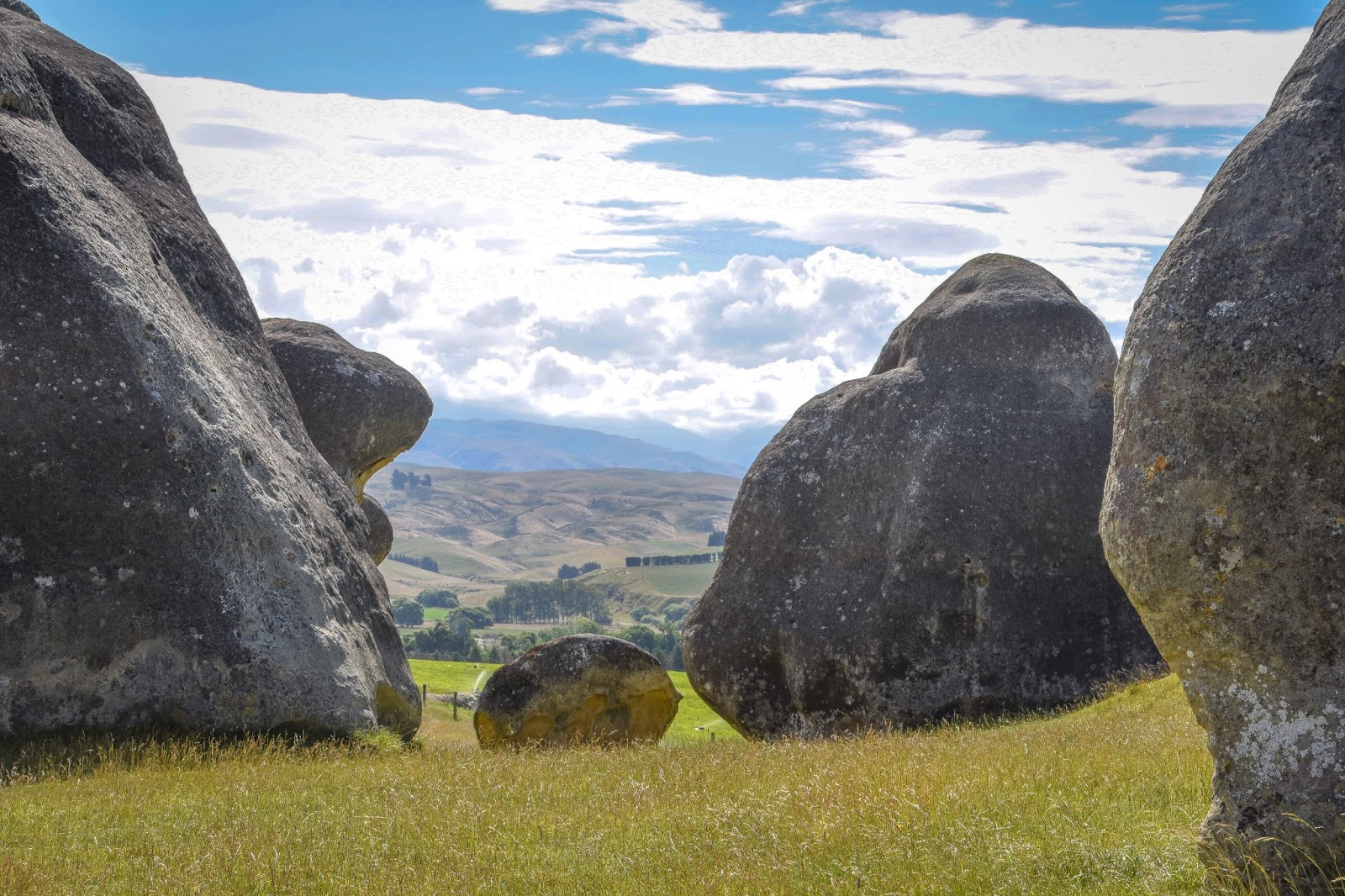 Paws Awhile: Duntroon - Waitaki Valley