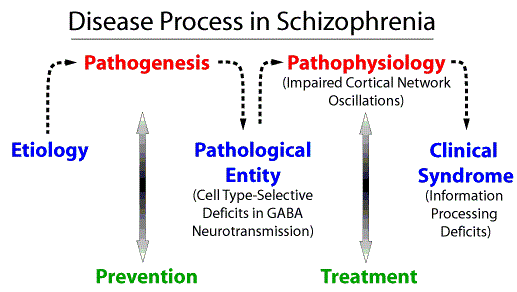 Pathophysiology of Schizophrenia | Nurseonlineph | November 2014 NLE ...