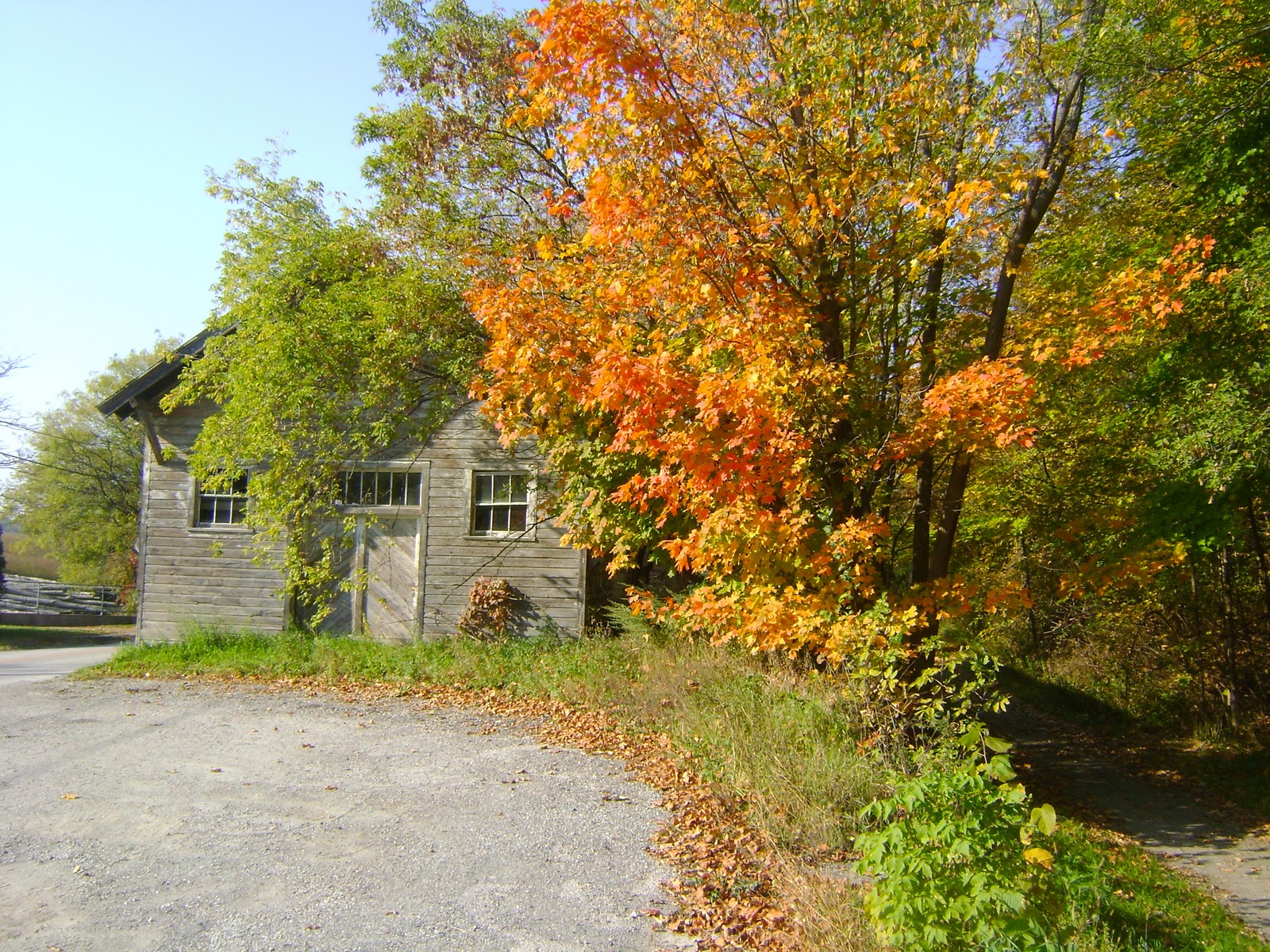 Wayward Goose Farm: The D&H Rail Trail