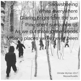 Beyond LiteracyLink: March Musings 3: Snow Poetry