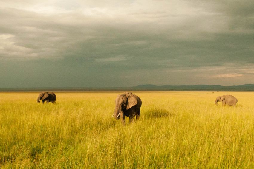 Photo Tour Choice: Make Your Adventure Photo Tours: A Reality