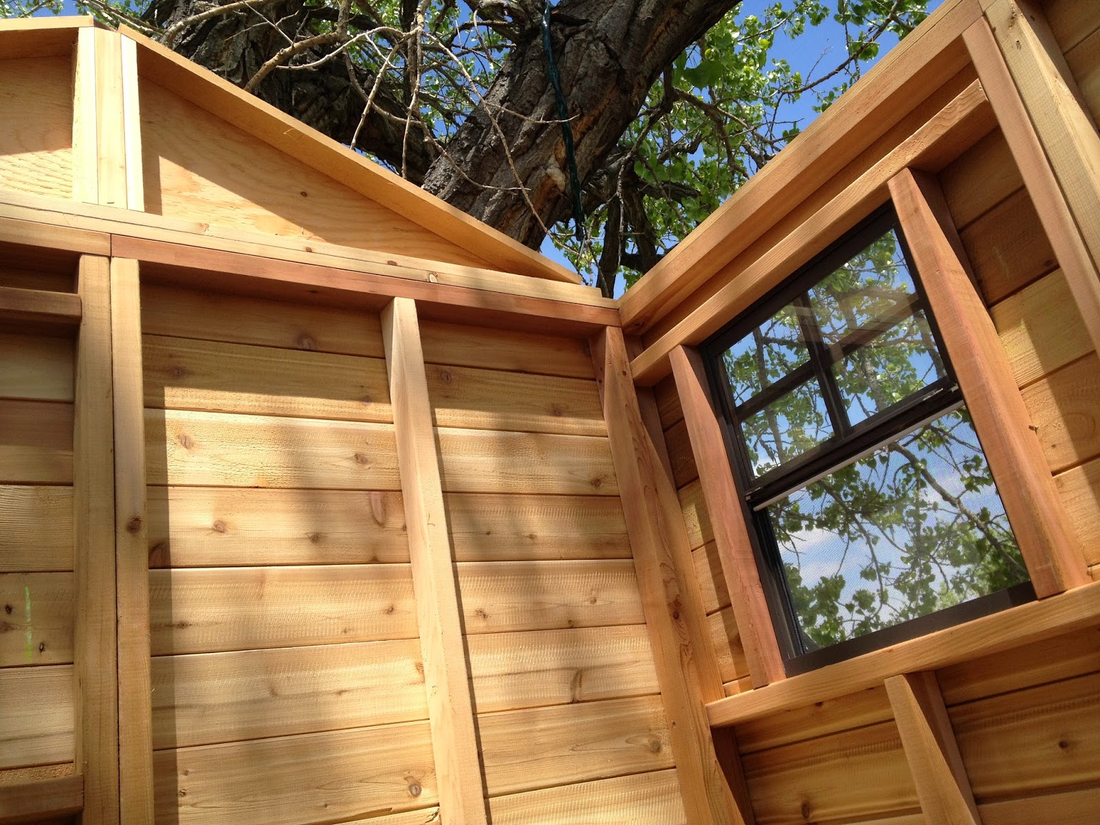 The Treehouser: Part 15: The Treehouse Takes Shape