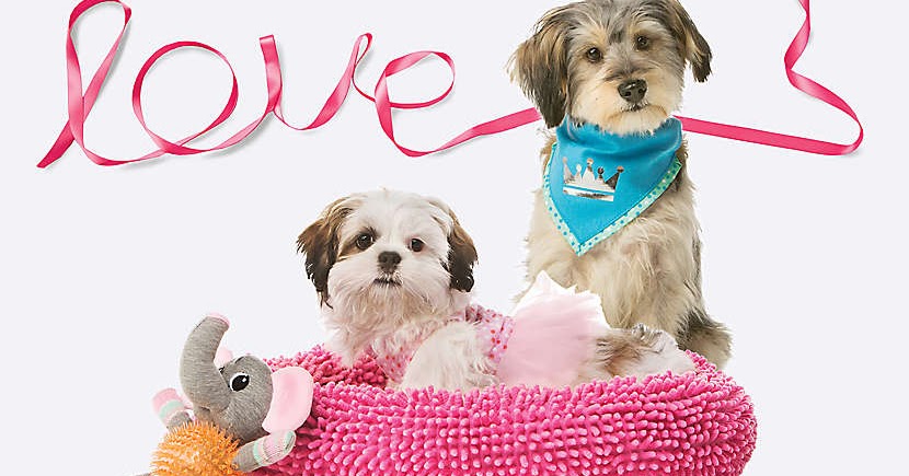 Doggone Coupon | Save Money on Your Dog with Coupons, Free Samples, and ...