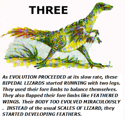 Ramvaidyblog: EVOLUTION OF BIRDS-HOW BIRDS BEGAN?