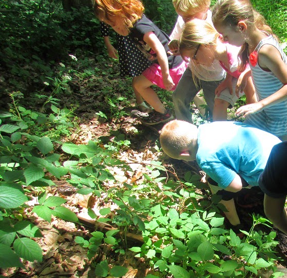 Kindergarten: Holding Hands and Sticking Together: Log Hotel