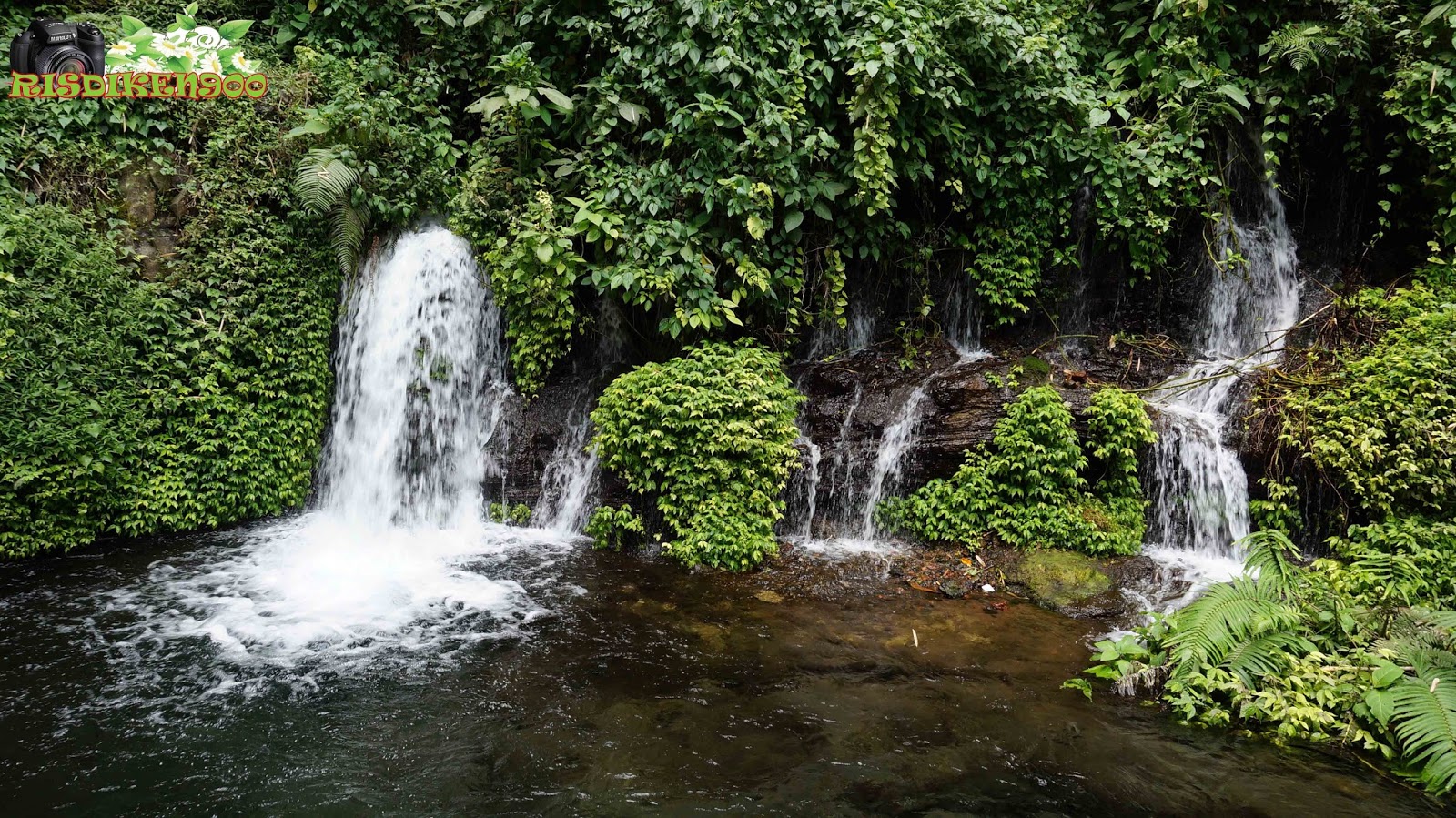 Perjalananku: Air terjun sumber 7 & ringin gantung tumpang - malang