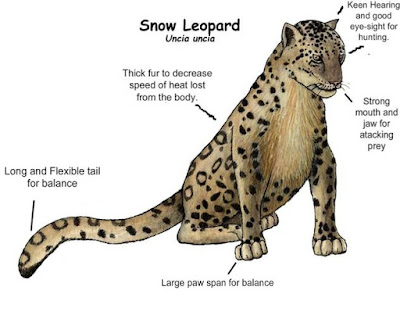 بيولوجي: Biology 110