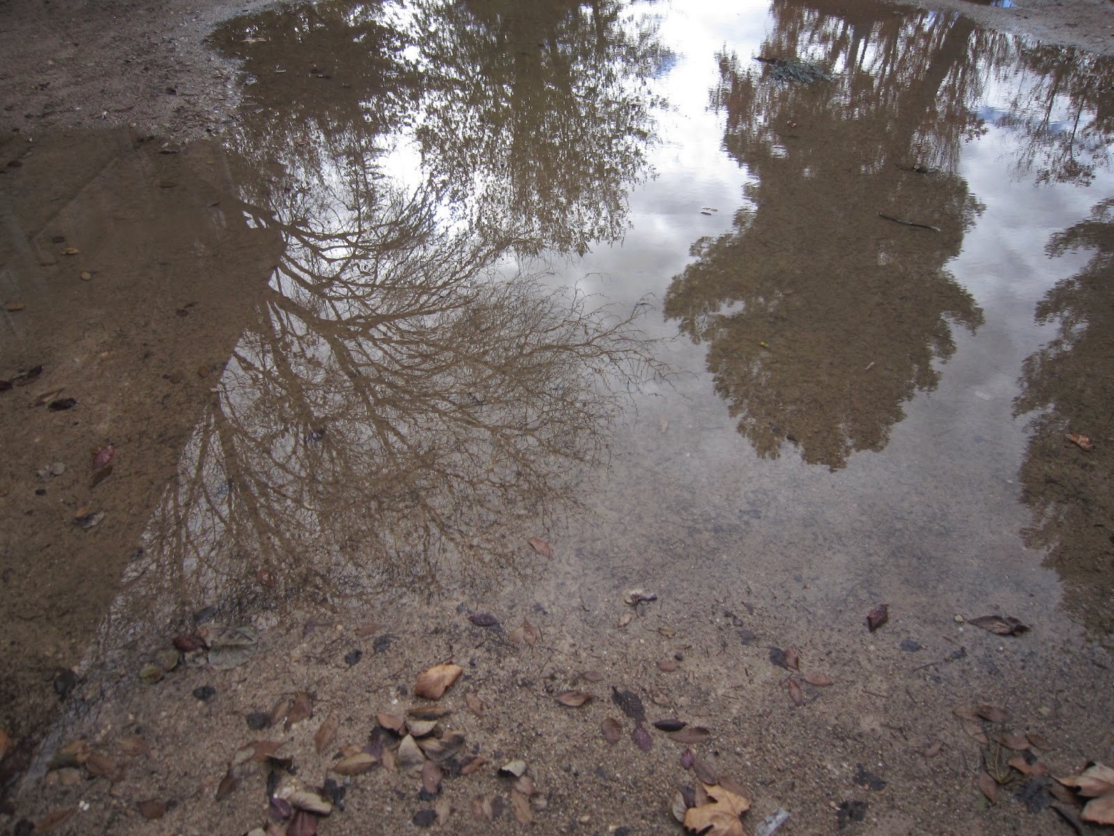 Fuentes' English Corner : The Big Puddle