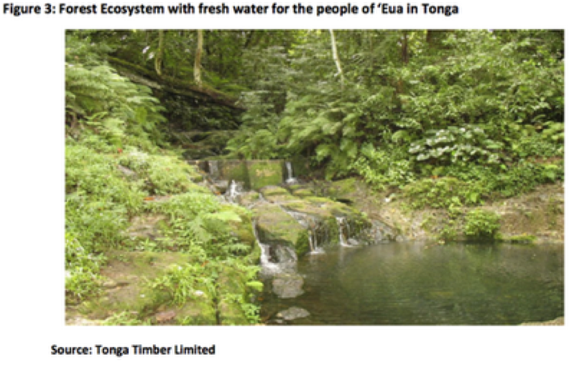 Tongan Tropical Moist Forests