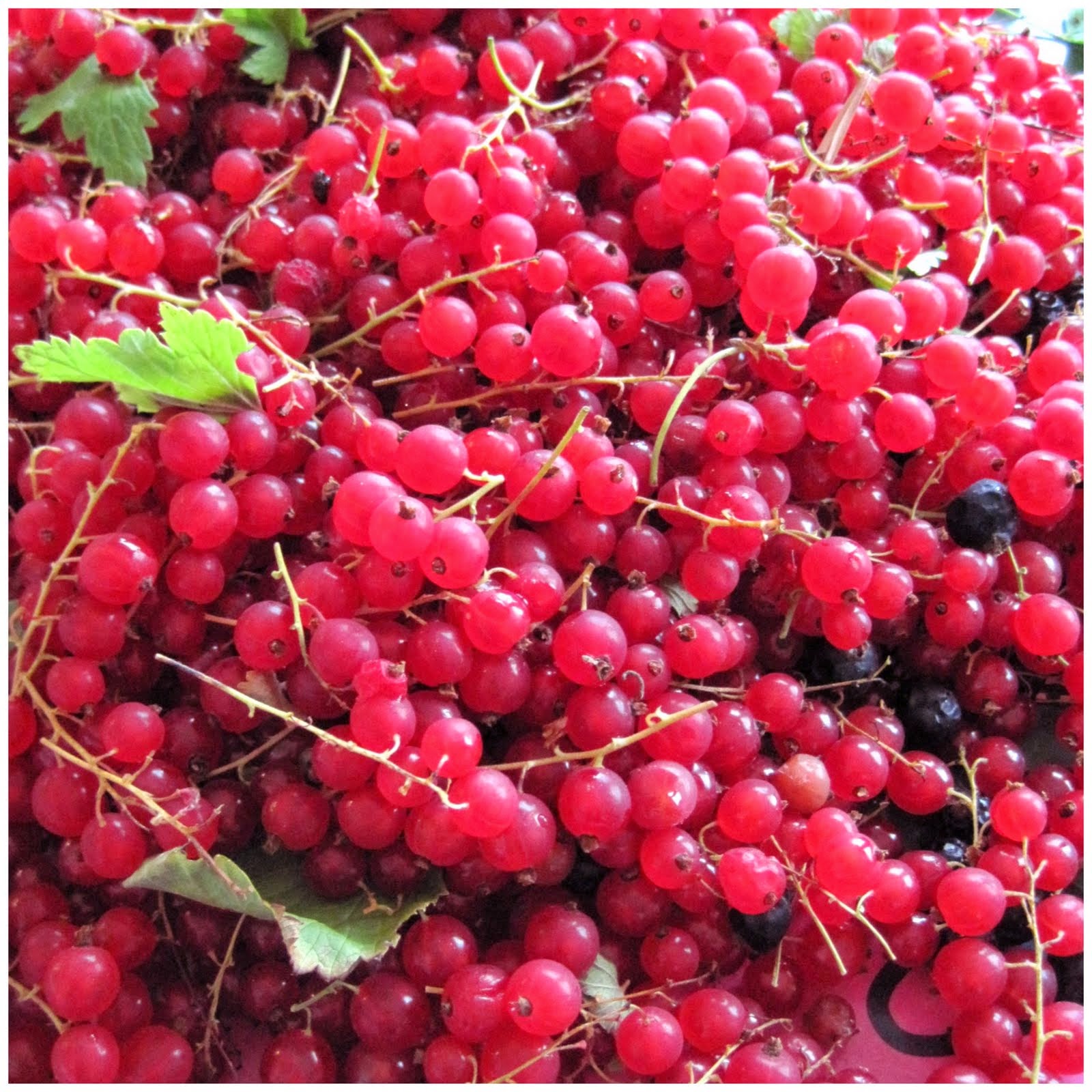 Cantinho Ecológico 2º A - Santos Dumont - Parnamirim/RN