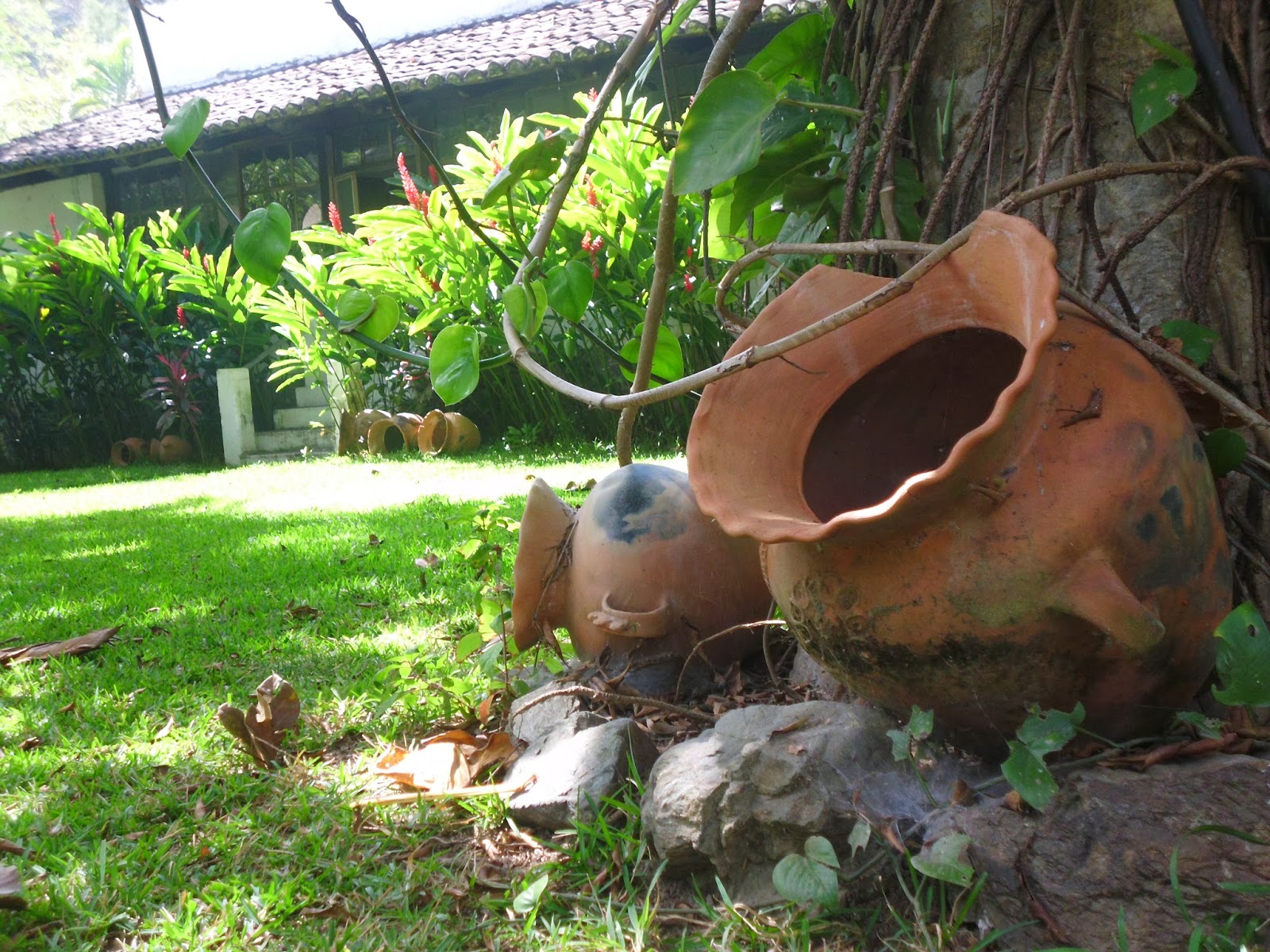 Sansare, El Progreso: Acercamiento a Sansare