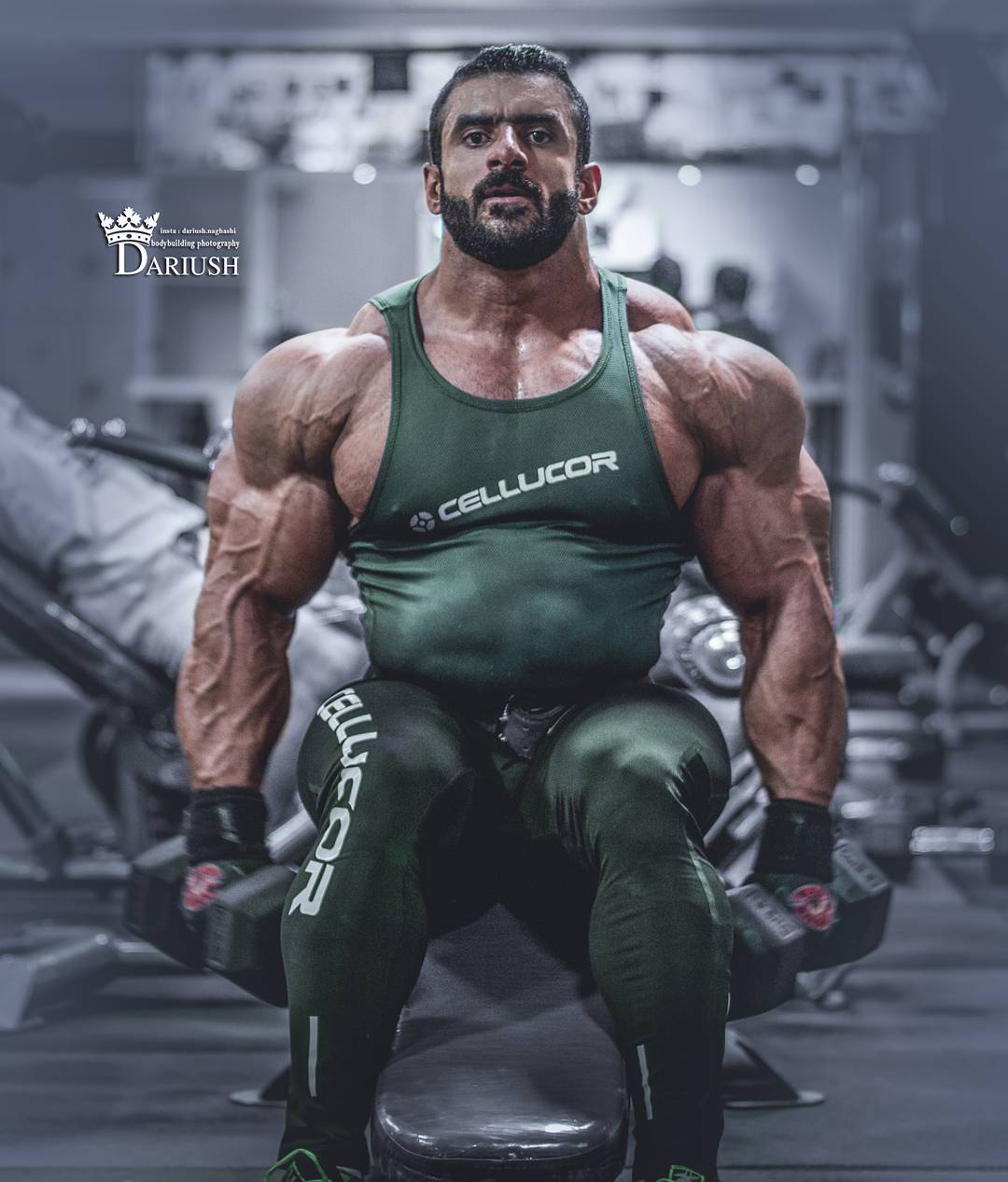 Muscle Lover: Iranian IFBB Pro bodybuilder Hadi Choopan - Gym photo ...