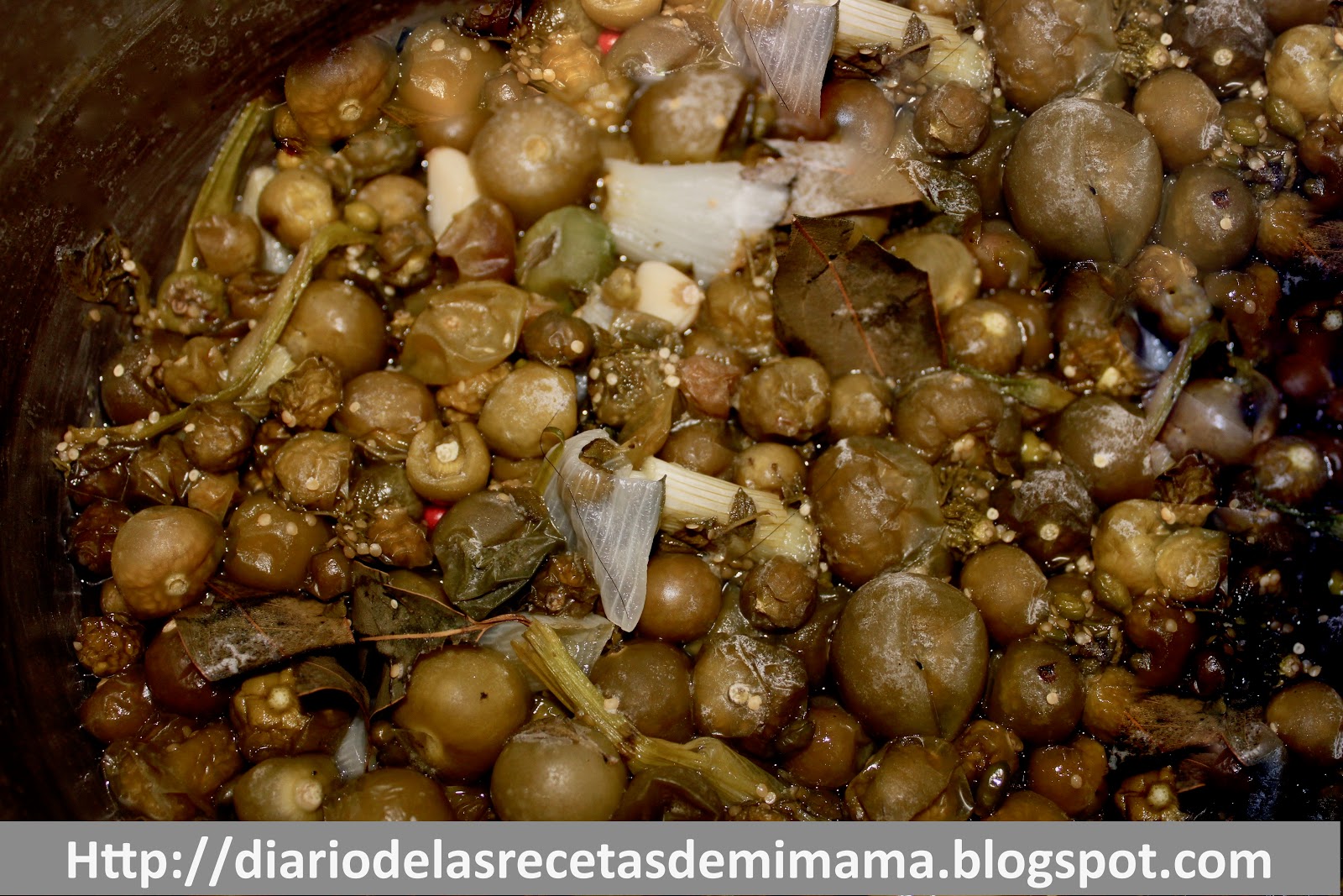 Garnachas (de feria)