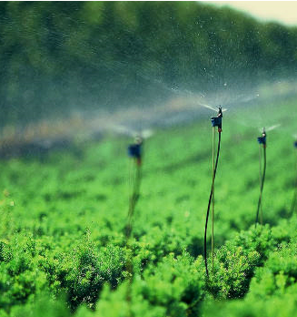 EL RIEGO: Microaspersión y Nebulización.
