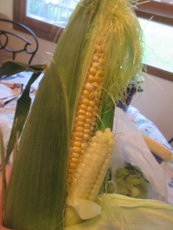 DON'T READ THIS; IT'S BORING!: This Week on the Dining Table