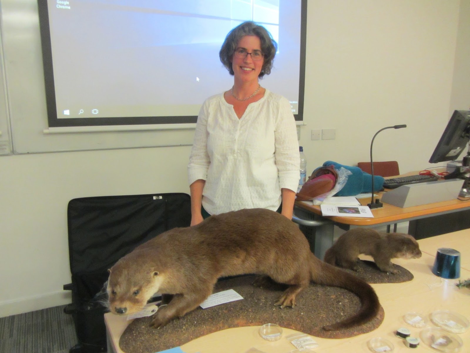 Cardiff Naturalists Society: November 2016