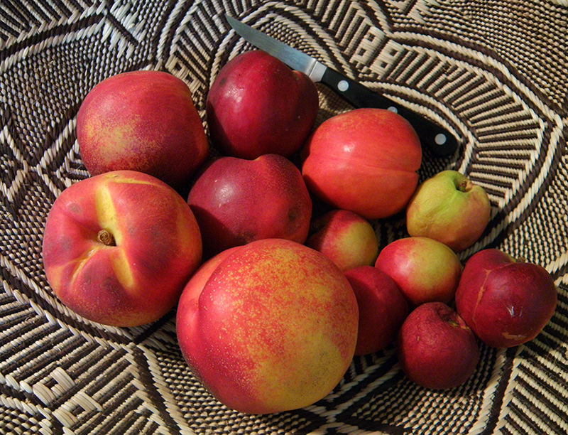 Seasonal Eating: Sherried Nectarine Crumble