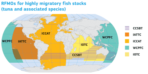 The Wondering Tuna: Priorities For ICCAT