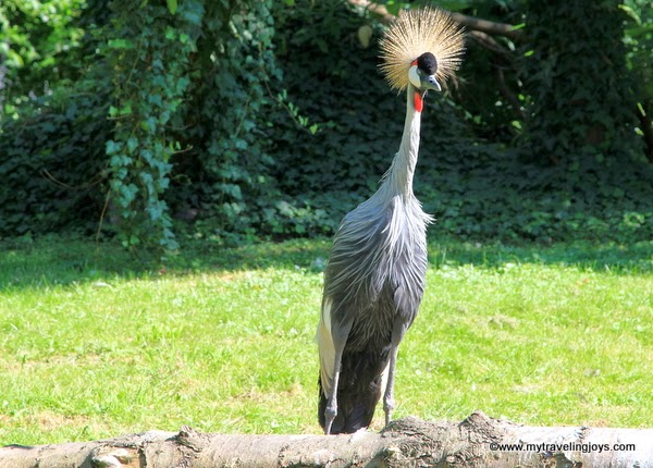 A Photo Day at the Warsaw Zoo | LOST TRAVELER