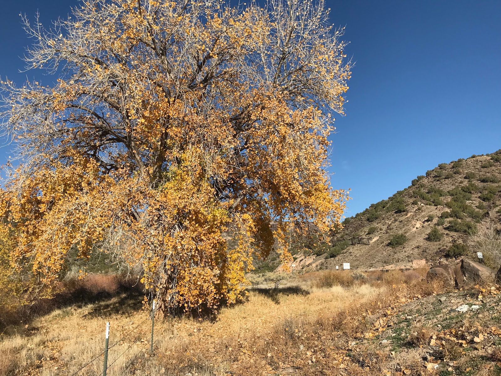 Two Graces Taos: A Day Trip to Taos, What to do in Taos in One Day, A ...