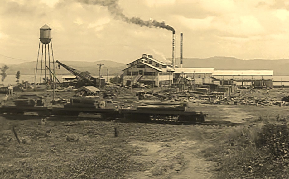 Blog do Padre Sidney Canto: Fordlândia: a grande exportação...