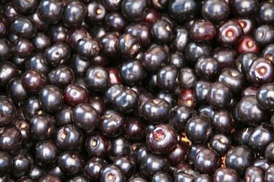 LAS AVENTURAS DEL CAPULÍN: ¿PORQUE LE PUSE DE NOMBRE CAPULÍN?