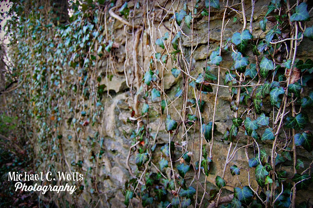 Abandoned Witches Castle