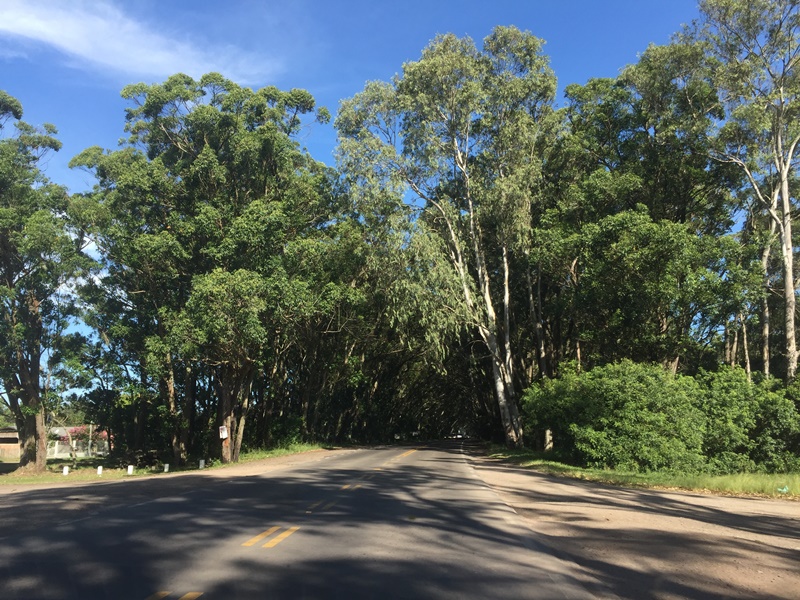 Turma da História: Balneário Pinhal, cidade do RS.