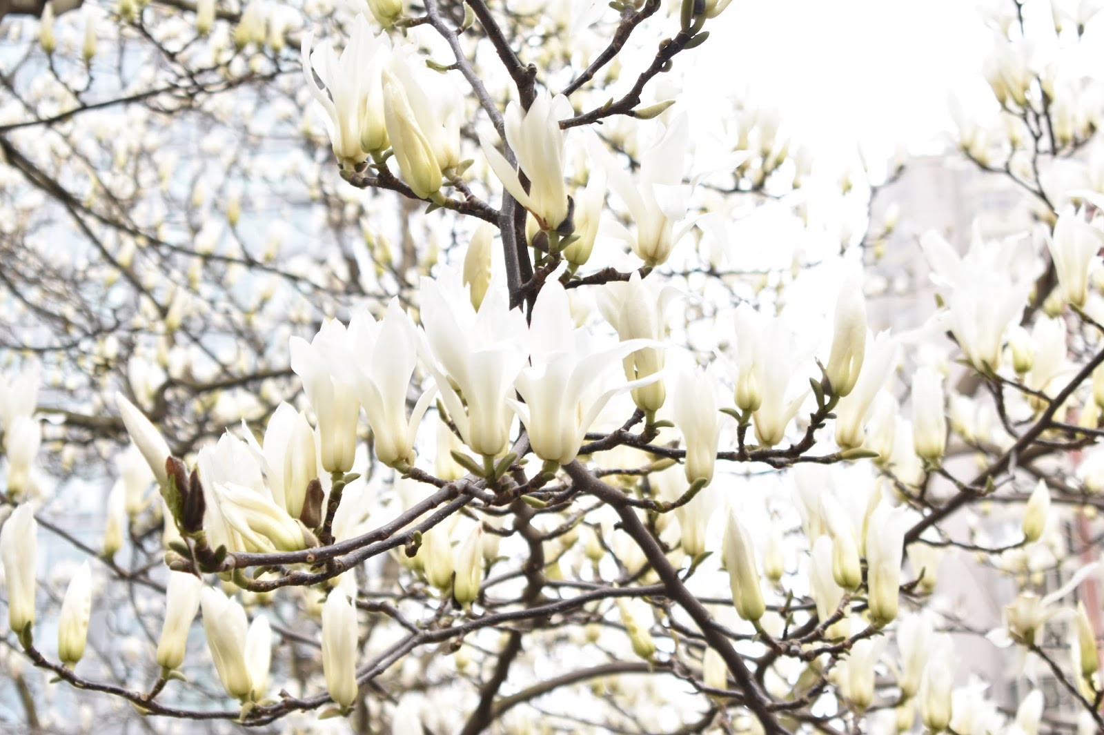 A Magical Spring | Sparkle Piece