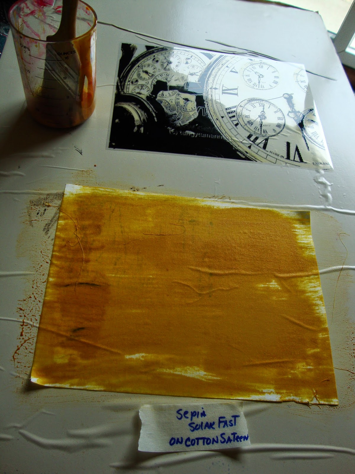 Robbie's Paw Prints: Solar Fast Process