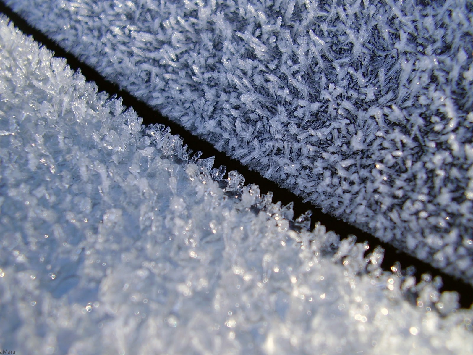 Opiniones de Escarcha