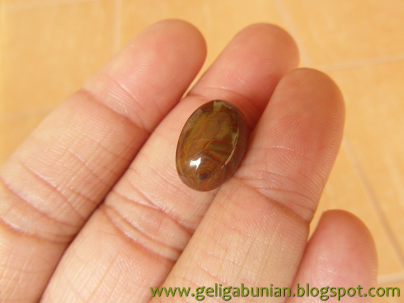 BLOG UTAMA Y.M PADUKA AYAHANDA PAY 8: GELIGA SELARAK MERAH