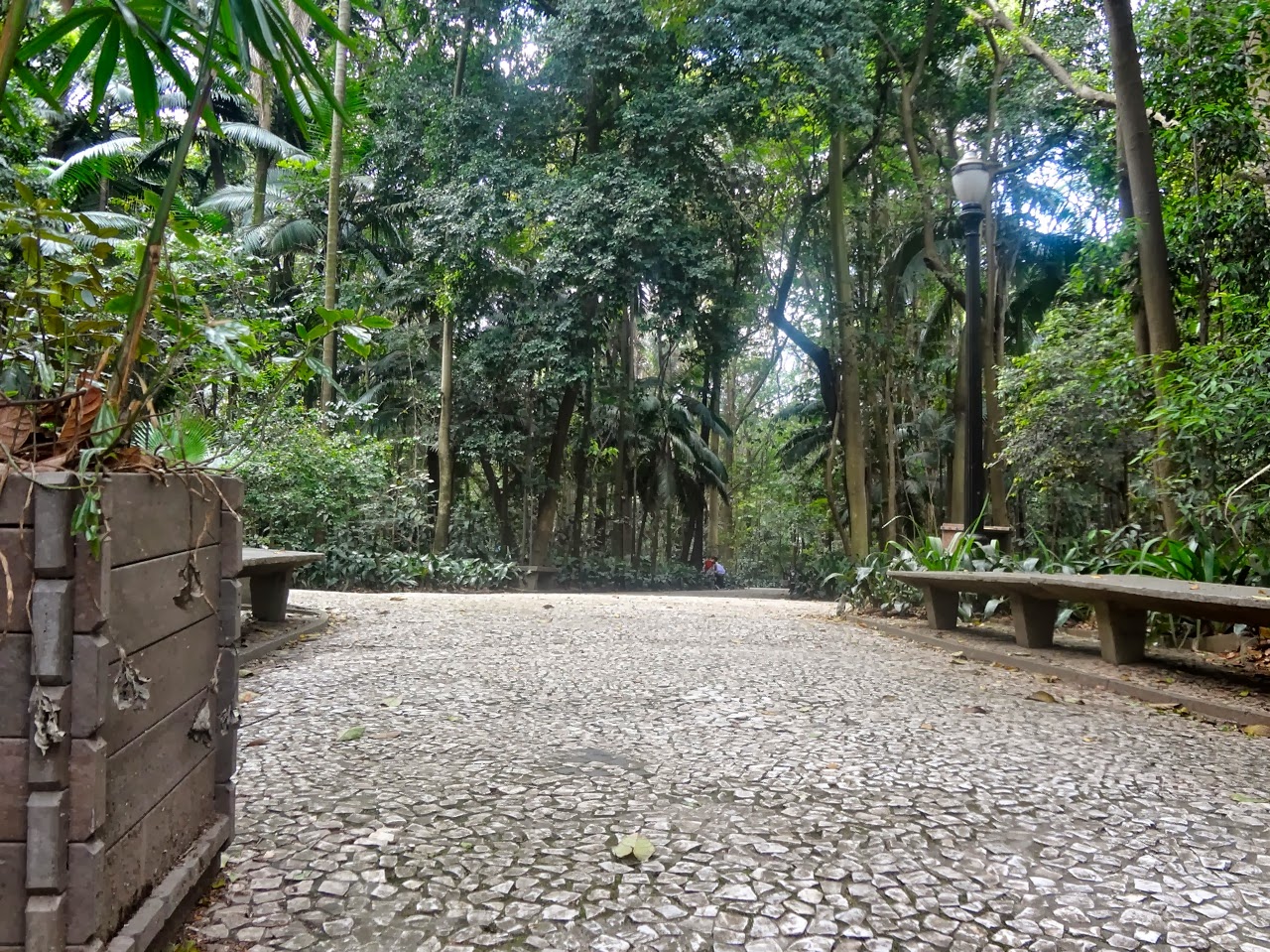 Parque Trianon ou Tenente Siqueira Campos em São Paulo ~ Áreas Verdes ...