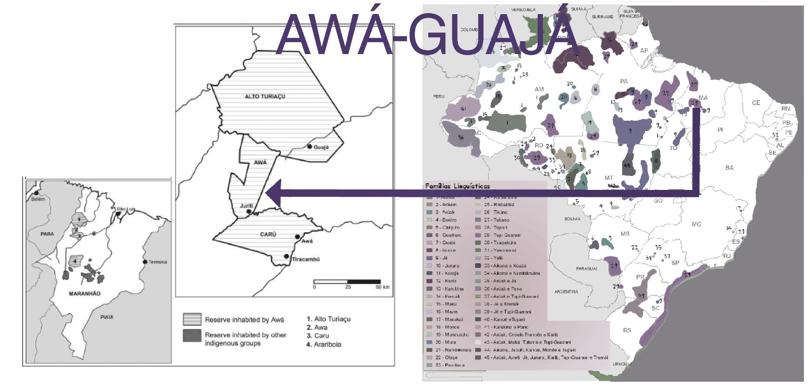 Povos Indígenas Brasileiros: Awá Guajá