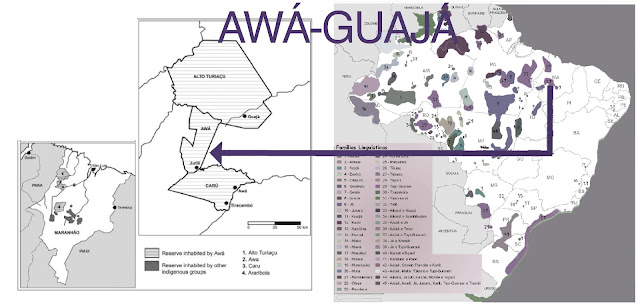 Povos Indígenas Brasileiros: Awá Guajá