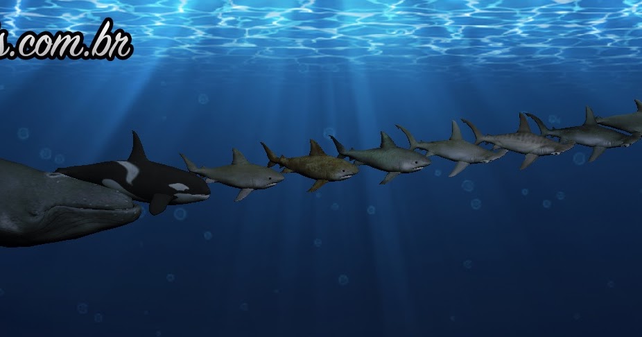 Marine Animals GTA 5 MOD || GTA V Marine Animal MOD 2020 - COOL GTA MODS