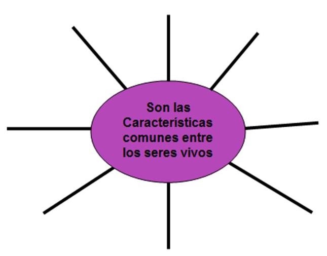 Mapa De Sol Plantilla - slingo