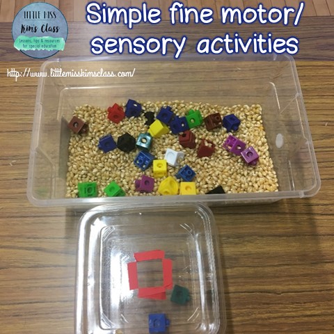 Little Miss Kim's Class: Simple Fine Motor/ Sensory Activities for ...