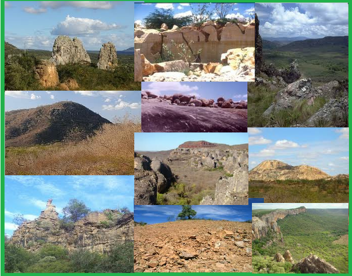 BIBOCA AMBIENTAL : CAATINGA - BREVE HISTÓRICO