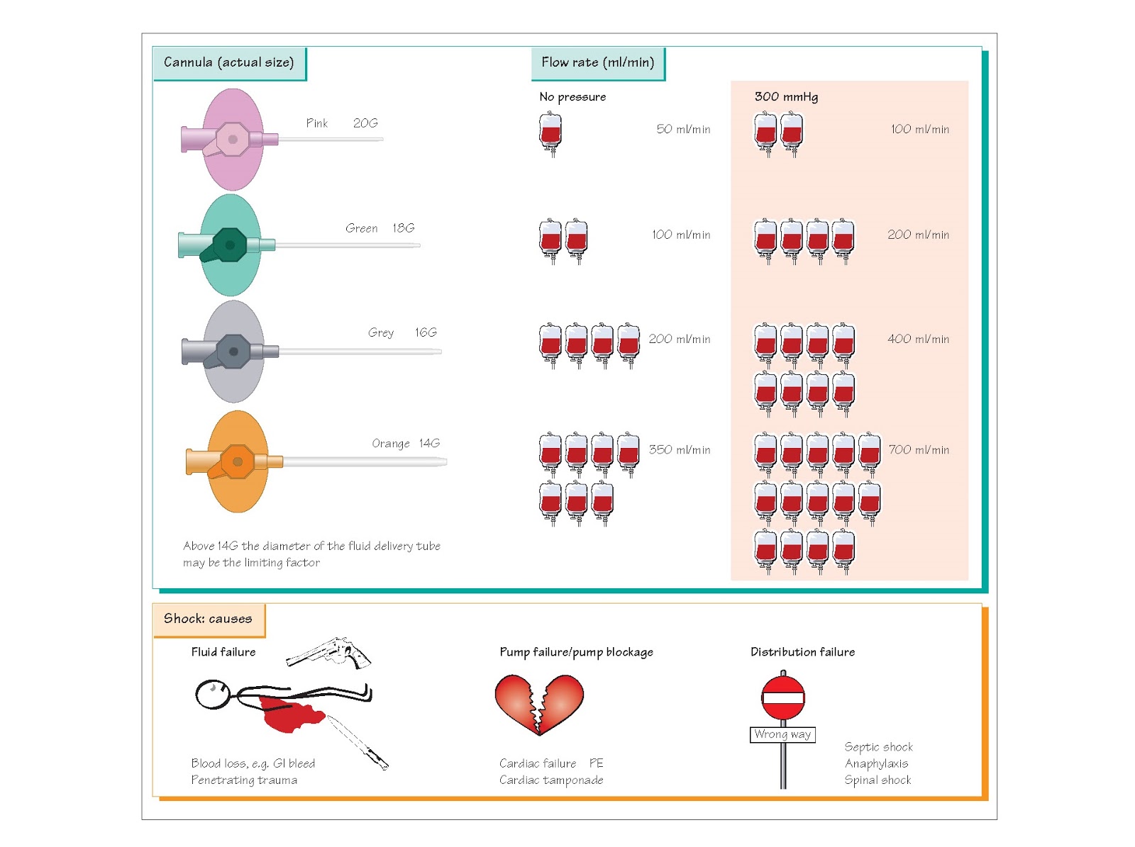 Shock And Intravenous Fluids - pediagenosis