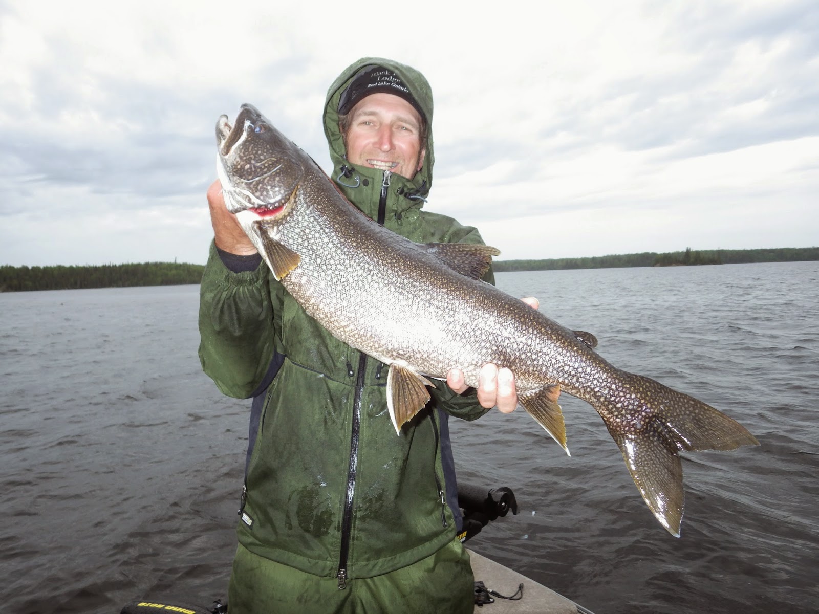 Black Bear Lodge Blog: Biggest Lake Trout of 2014