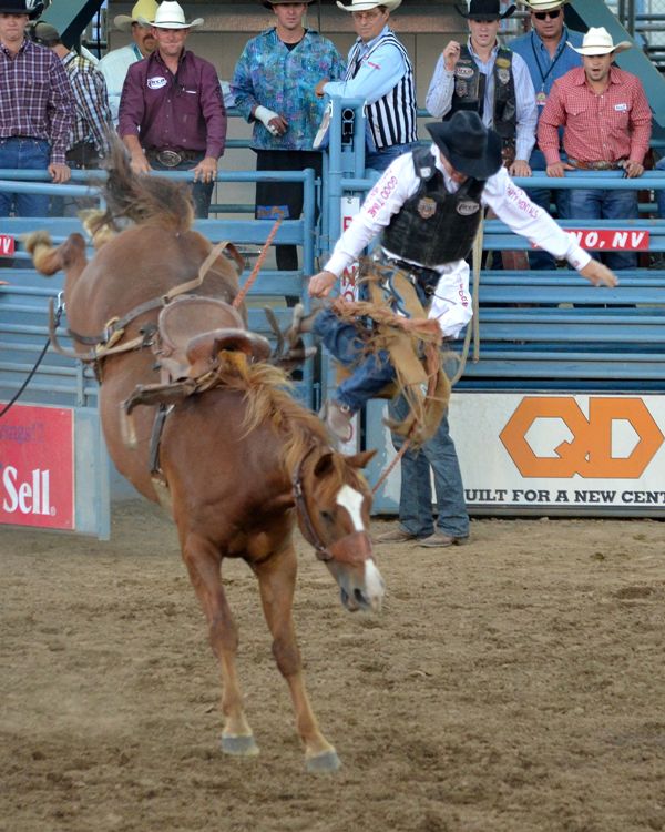 Random Images from a Nightowl: June 2011