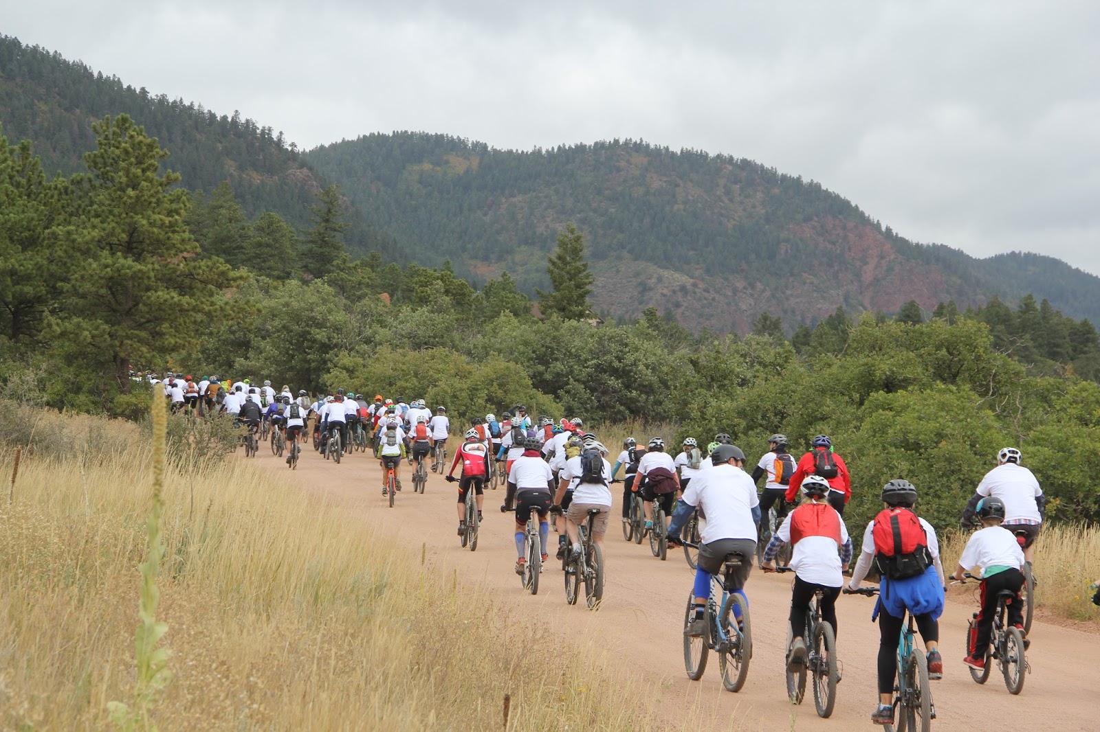 Restless native: Honoring Tim Watkins’ pure and gentle soul