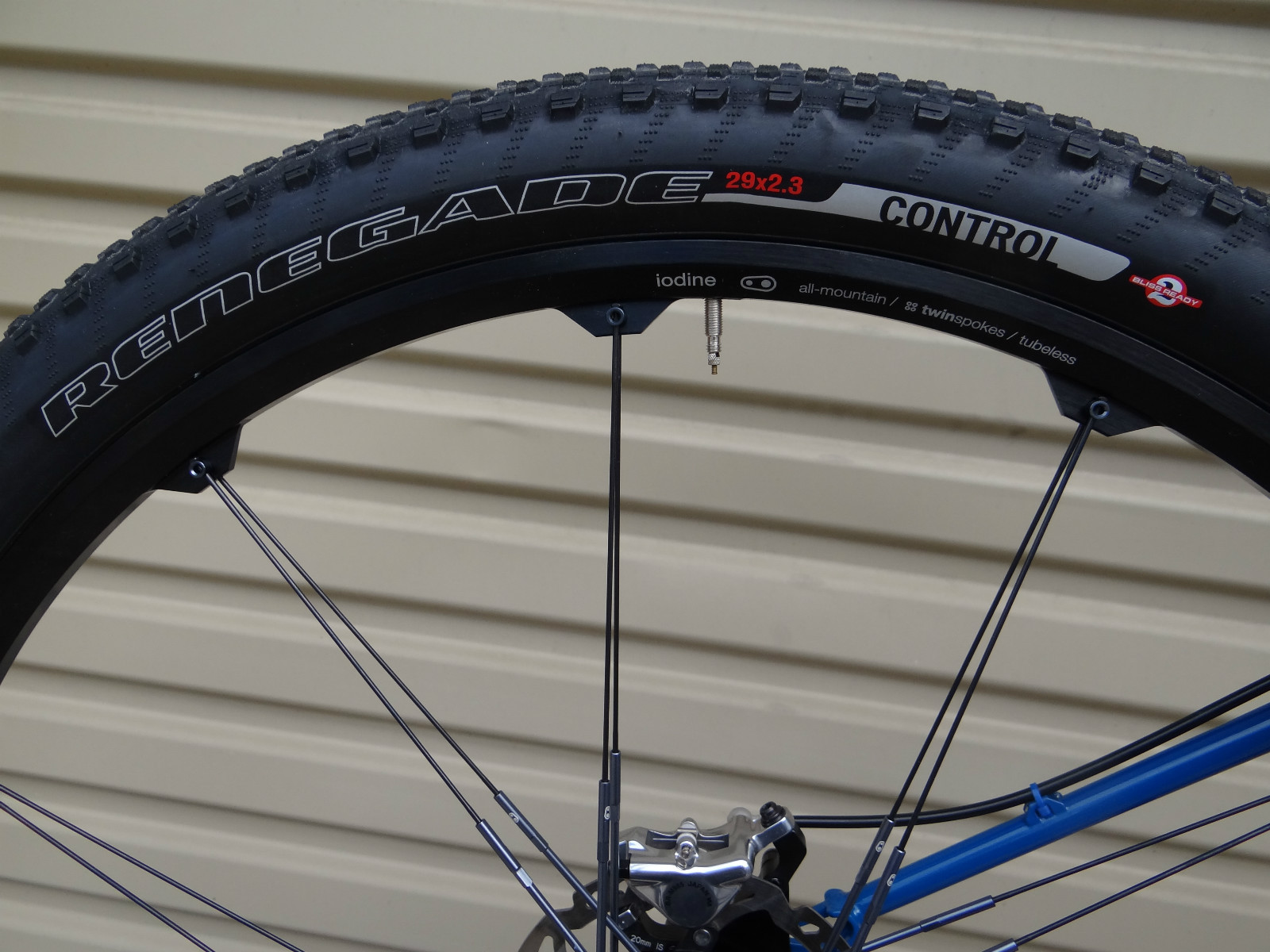 campagnolo delta brakes: Happiness is a point